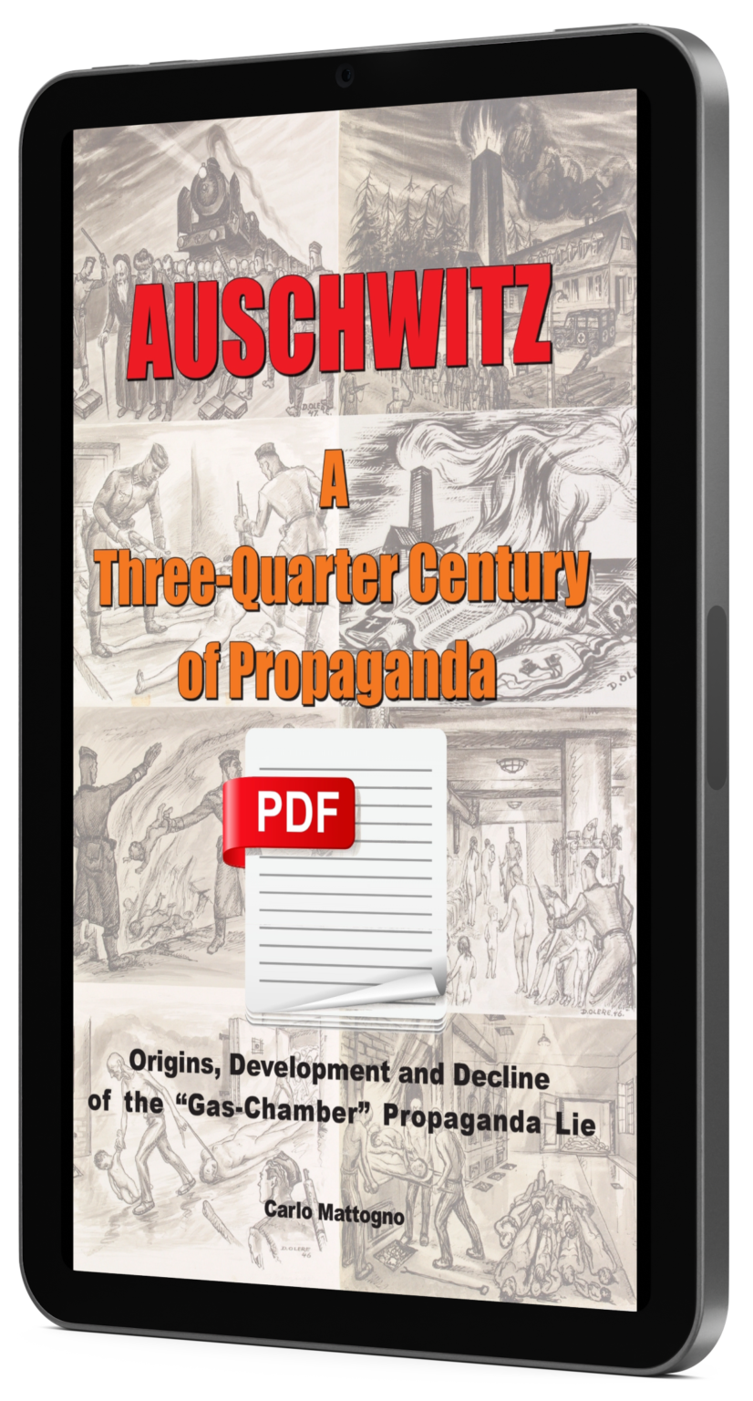 Auschwitz: A Three-Quarter Century of Propaganda | Multimedia Bundle ...